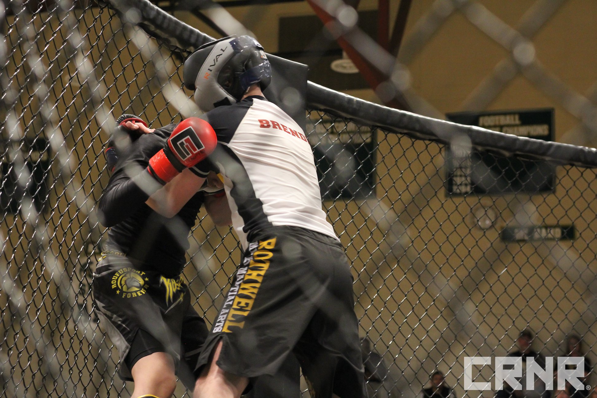 Youth MMA Tournament Success | Rothwell MMA