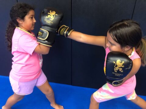 Rothwell MMA | Brazilian Jiu-Jitsu | Kickboxing | Mixed Martial Arts in ...